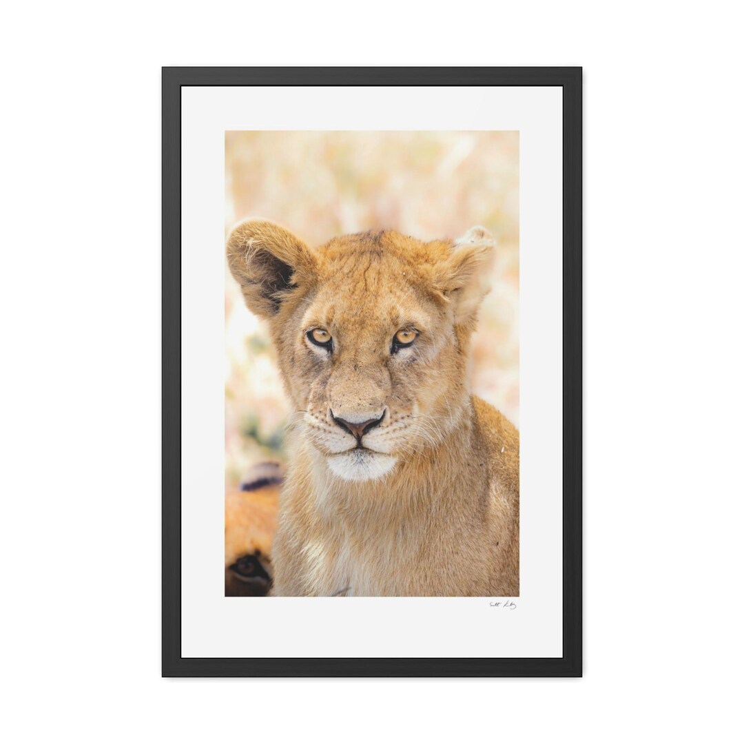 Simba Framed Posters - Etsy