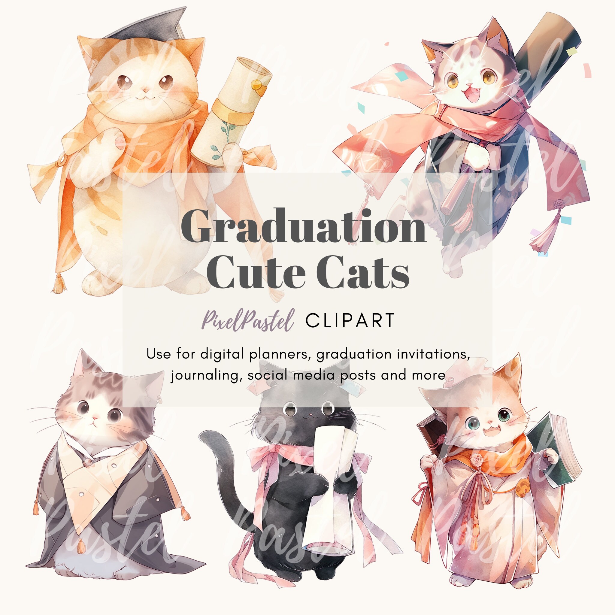 Graduation Cat Clipart Graduation Illustrations Cap and Gown Cat ...