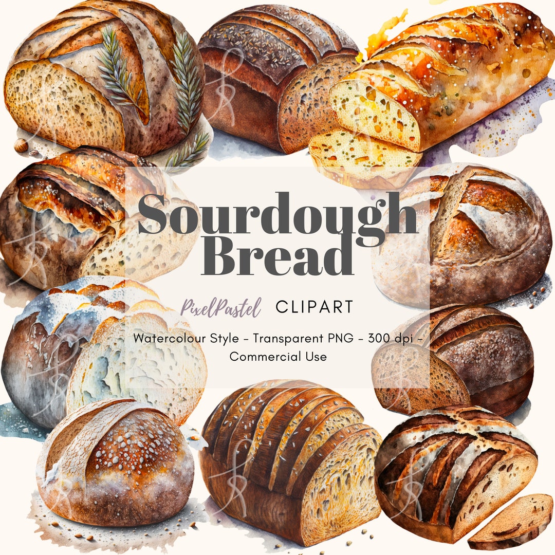 Watercolour Sourdough Bread Clipart PNG Baking Bread Clipart Commercial ...
