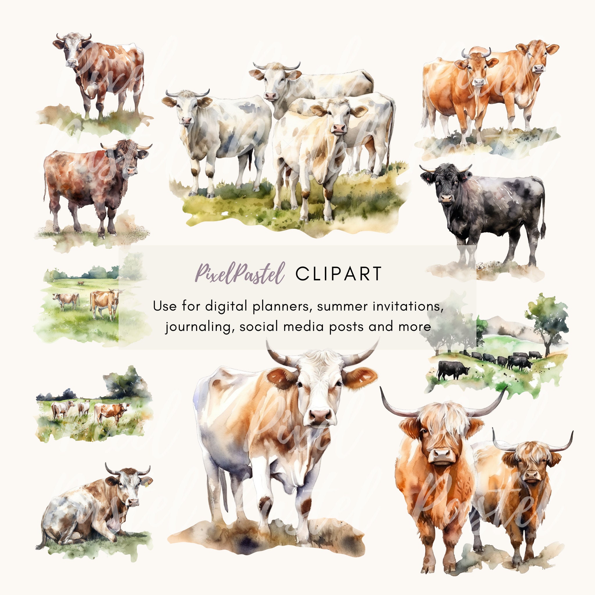Watercolor Cattle in A Field Clipart | Farm Animal Illustration | Cow ...