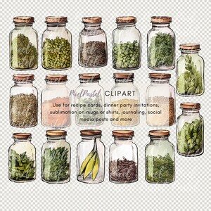 Watercolor Spice Jar and Herbs Illustrations Clip Art Junk Journal ...