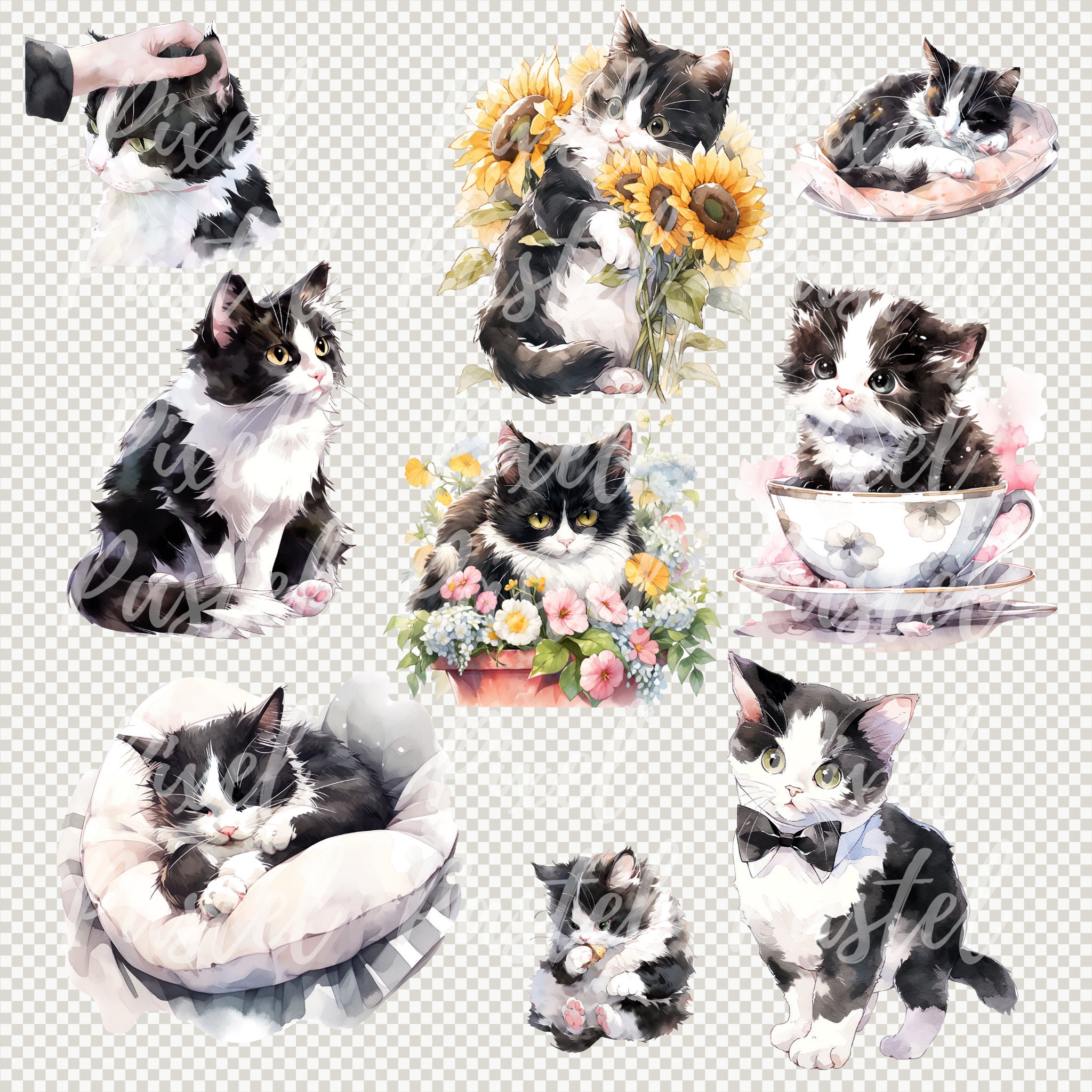 Watercolor Tuxedo Cat Clip Art Digital PNG Cats Black and White Cats ...