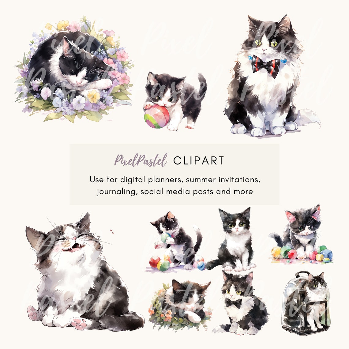 Watercolor Tuxedo Cat Clip Art Digital PNG Cats Black and White Cats ...