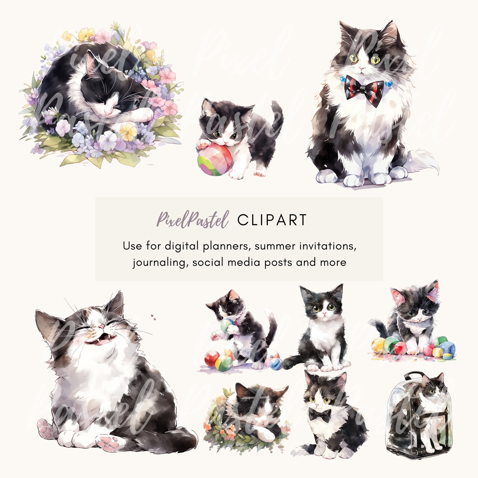 Watercolor Tuxedo Cat Clip Art Digital PNG Cats Black and White Cats ...