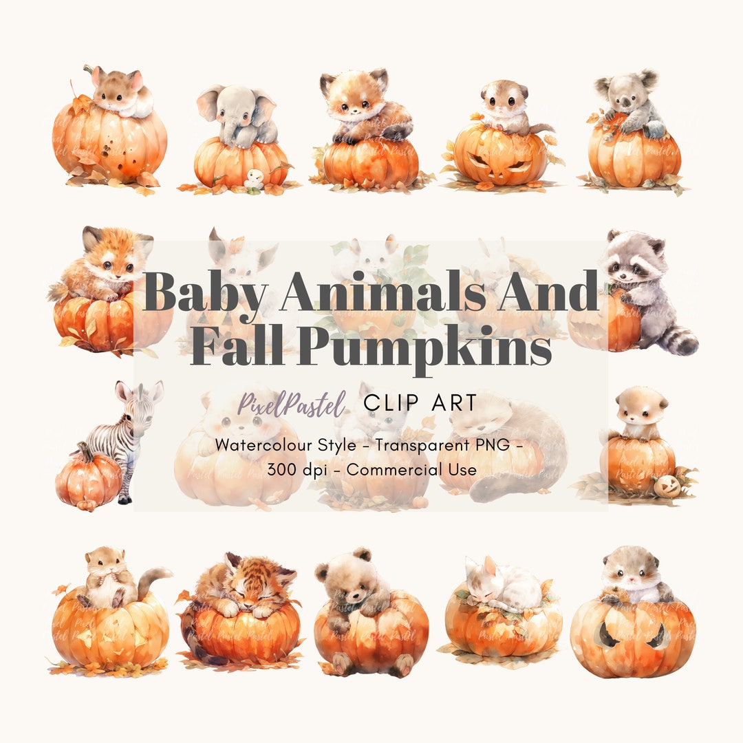Watercolor Fall Baby Animals Pumpkins Clip Art Autumn Animal PNG Fox ...