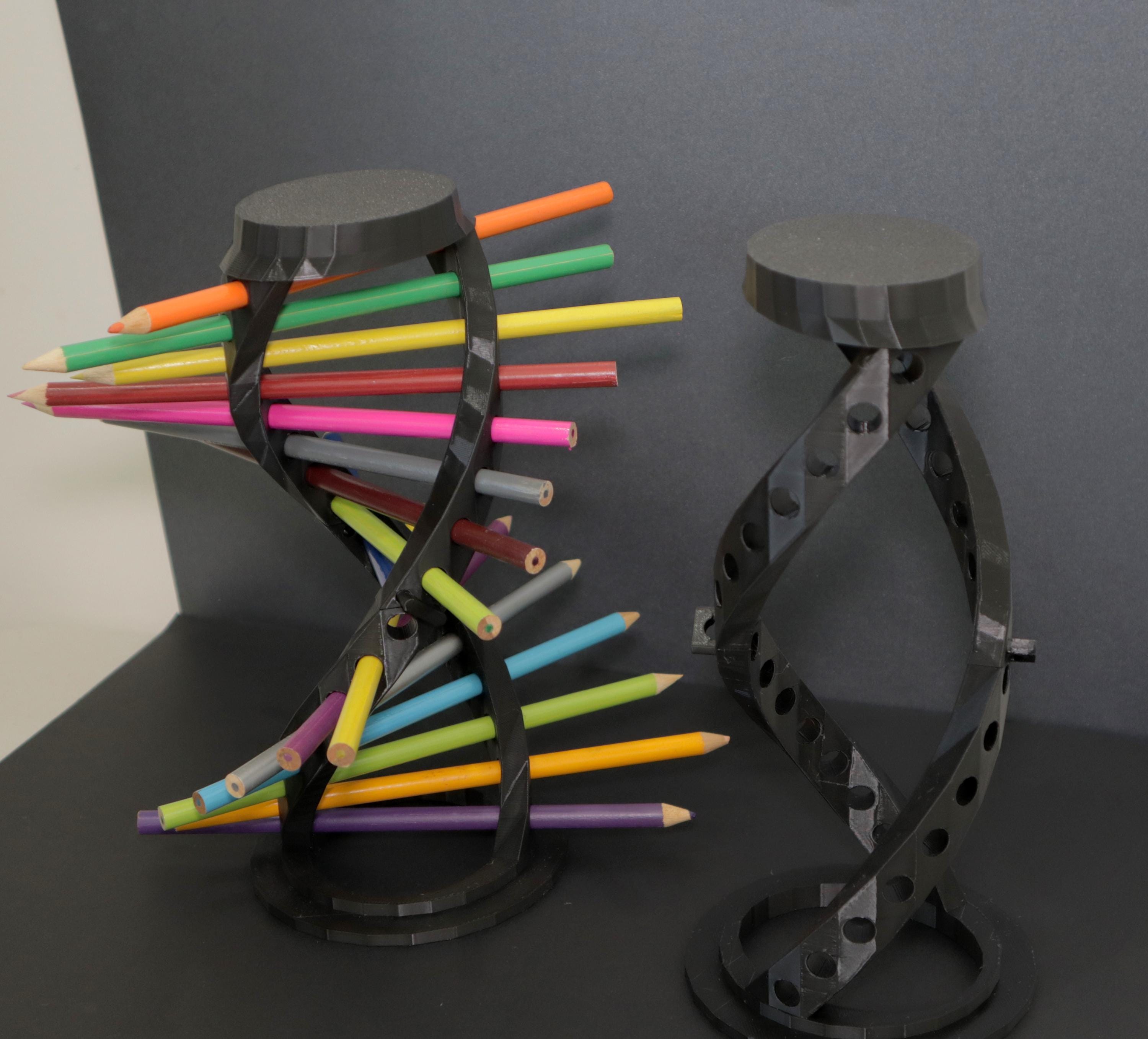 DNA Helix Pencil Holder - Etsy