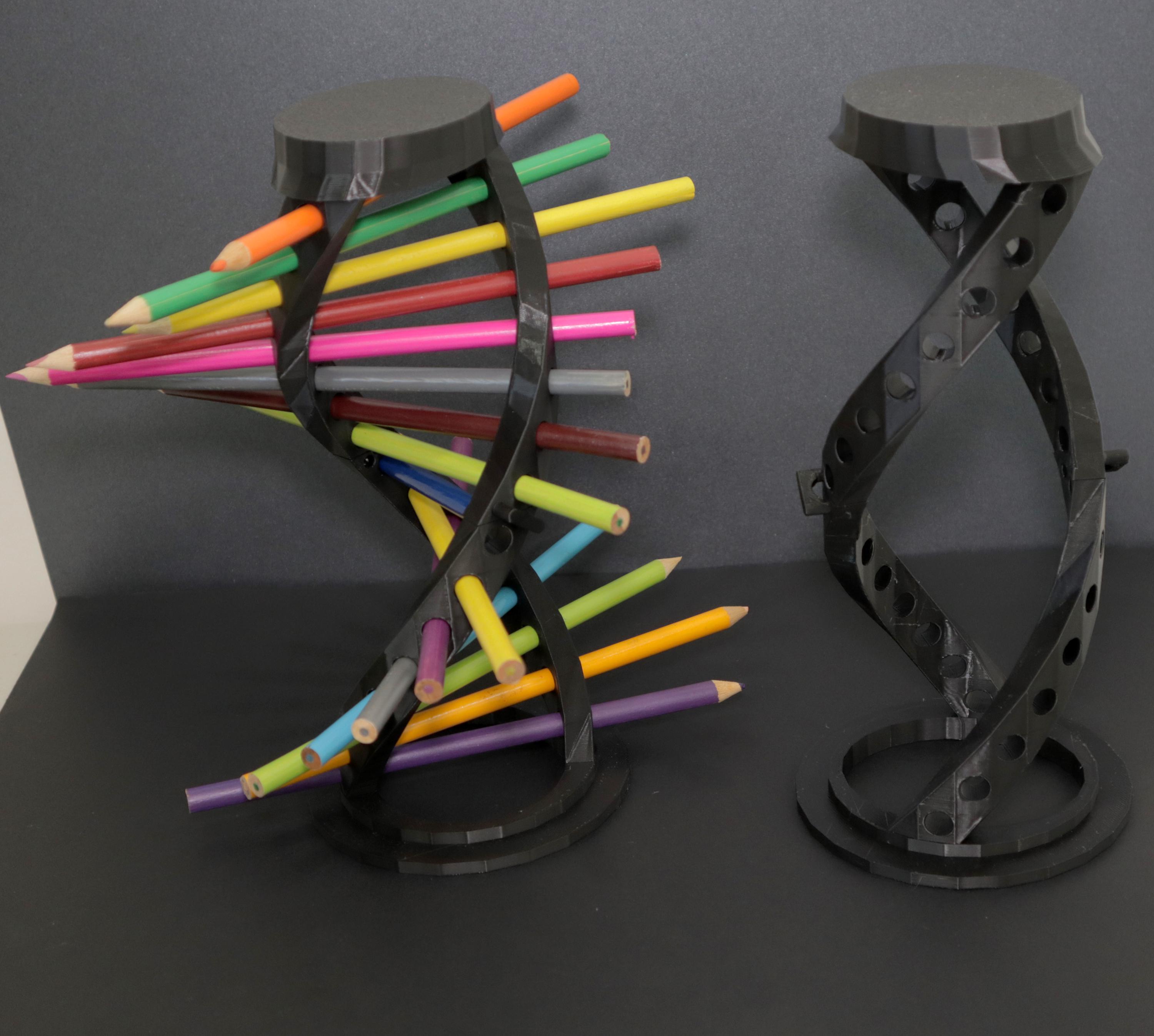 DNA Helix Pencil Holder - Etsy
