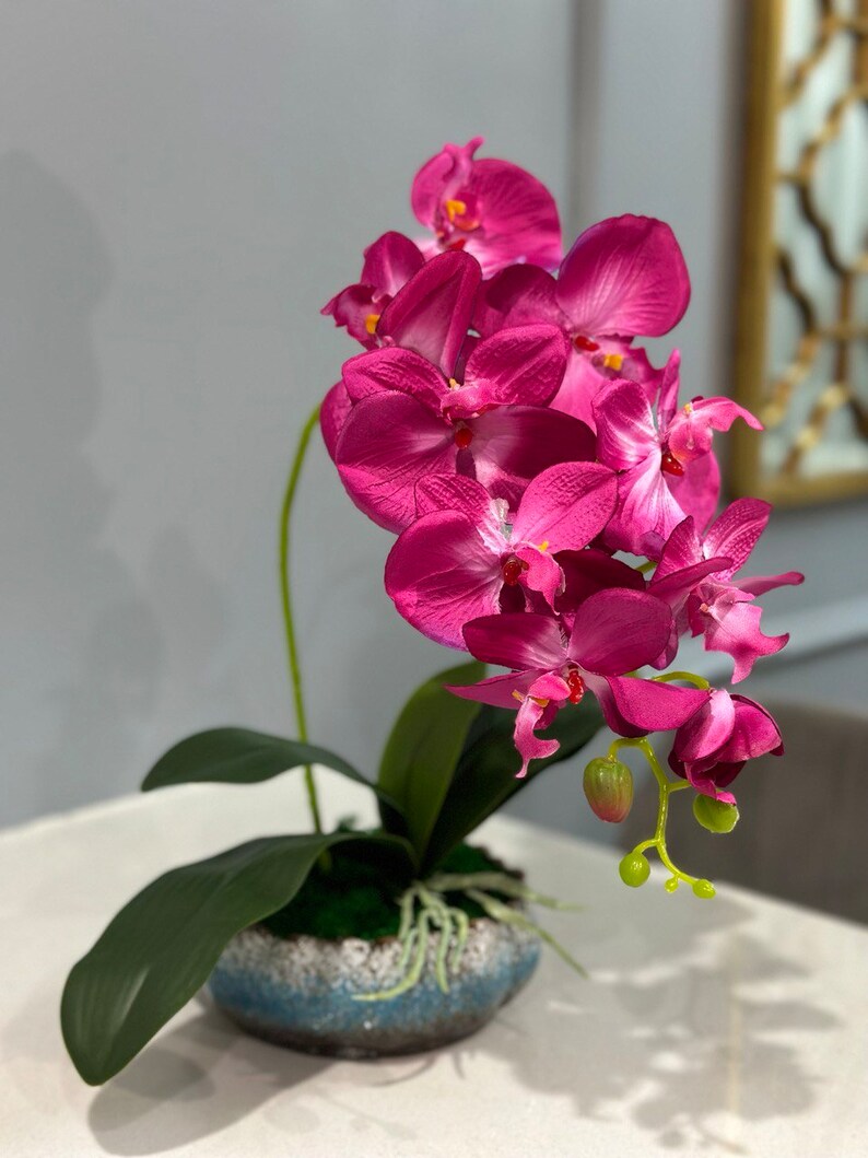 Pink Real Touch Orchid in Ceramic Pot - Etsy