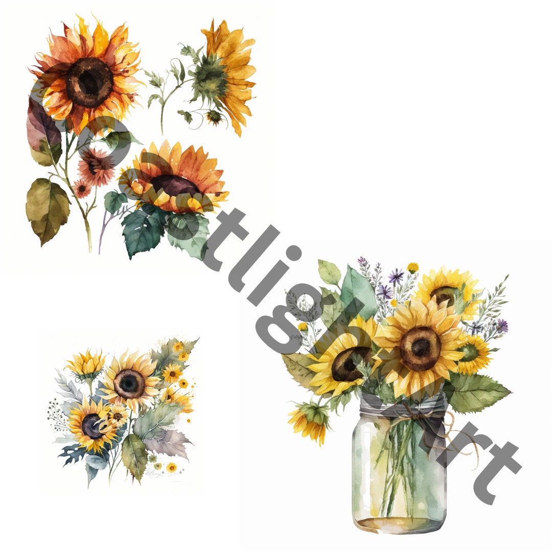 20 Watercolor Sunflower Floral Clipart Summer Flowers, PNG, Commercial ...