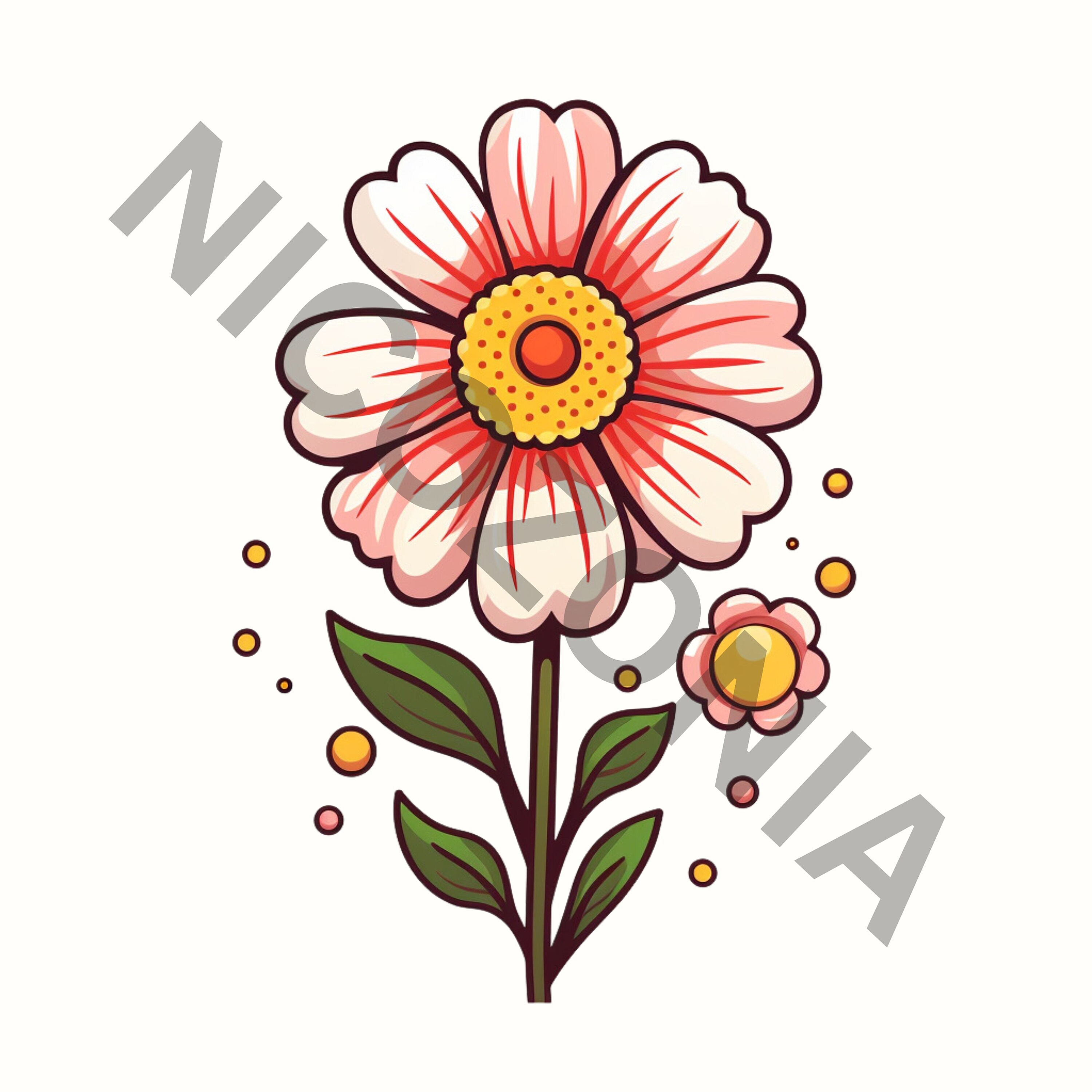 Spring Flower PNG Bundle, Daisy Cliparts, Enchanting Daisy Cliparts ...