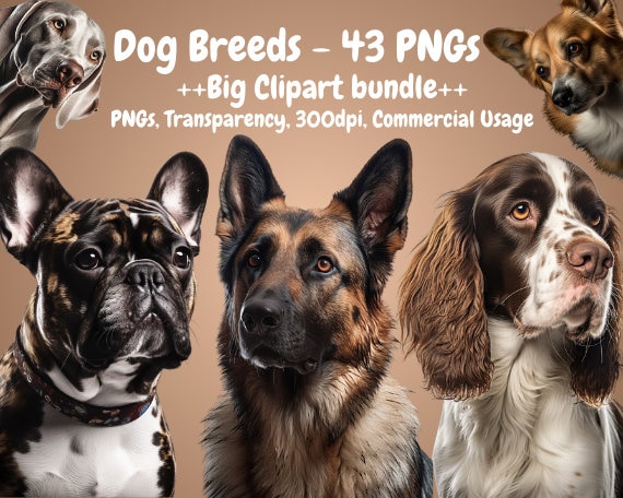 43 Dog Breed Photo Cliparts PNG Clipart Bundle Commercial - Etsy