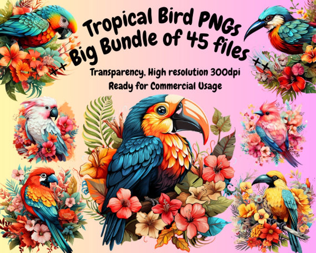 Tropical Birds Clipart PNG Bundle 45 Files , Rainforest Birds PNG ...