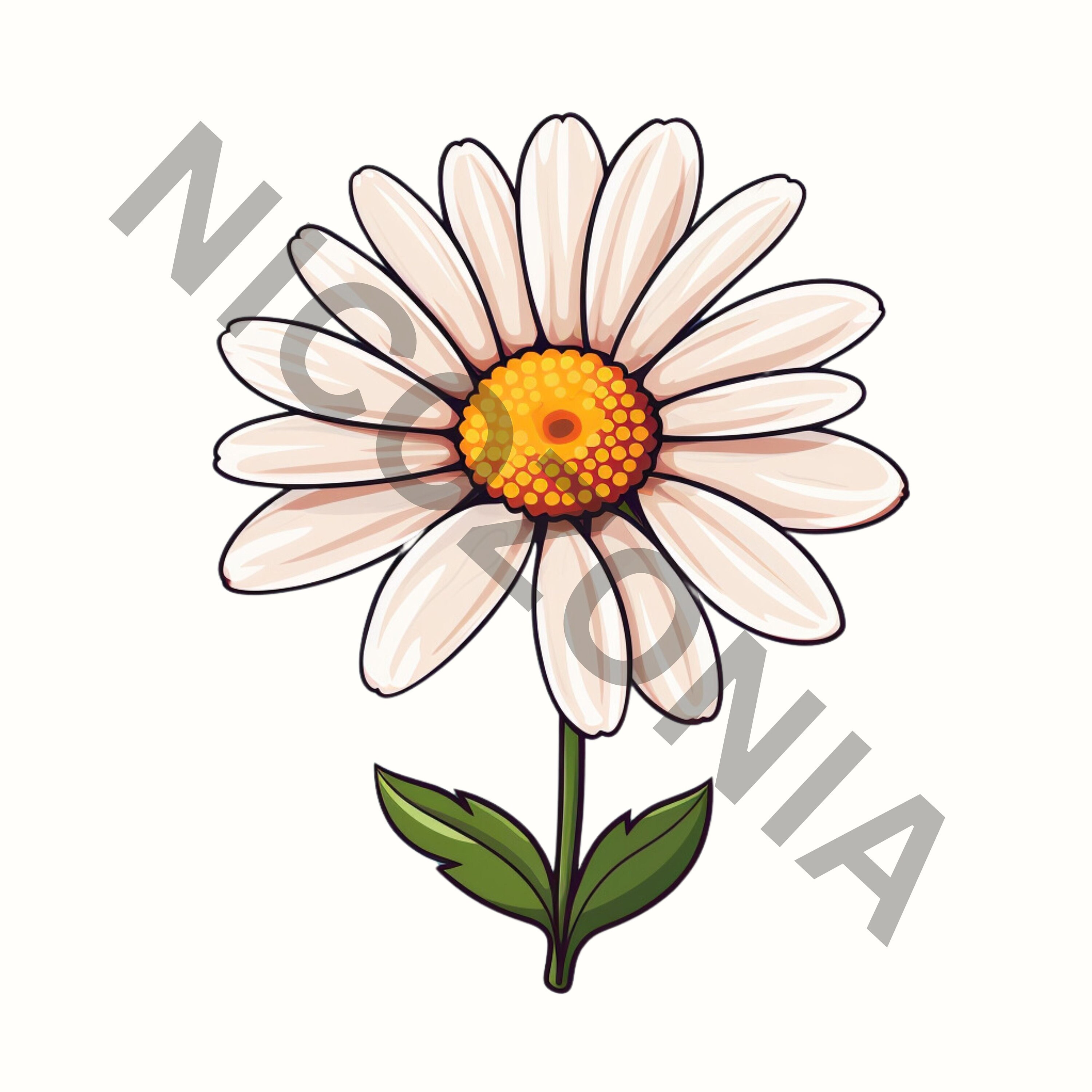 Spring Flower PNG Bundle Daisy Cliparts Enchanting Daisy - Etsy