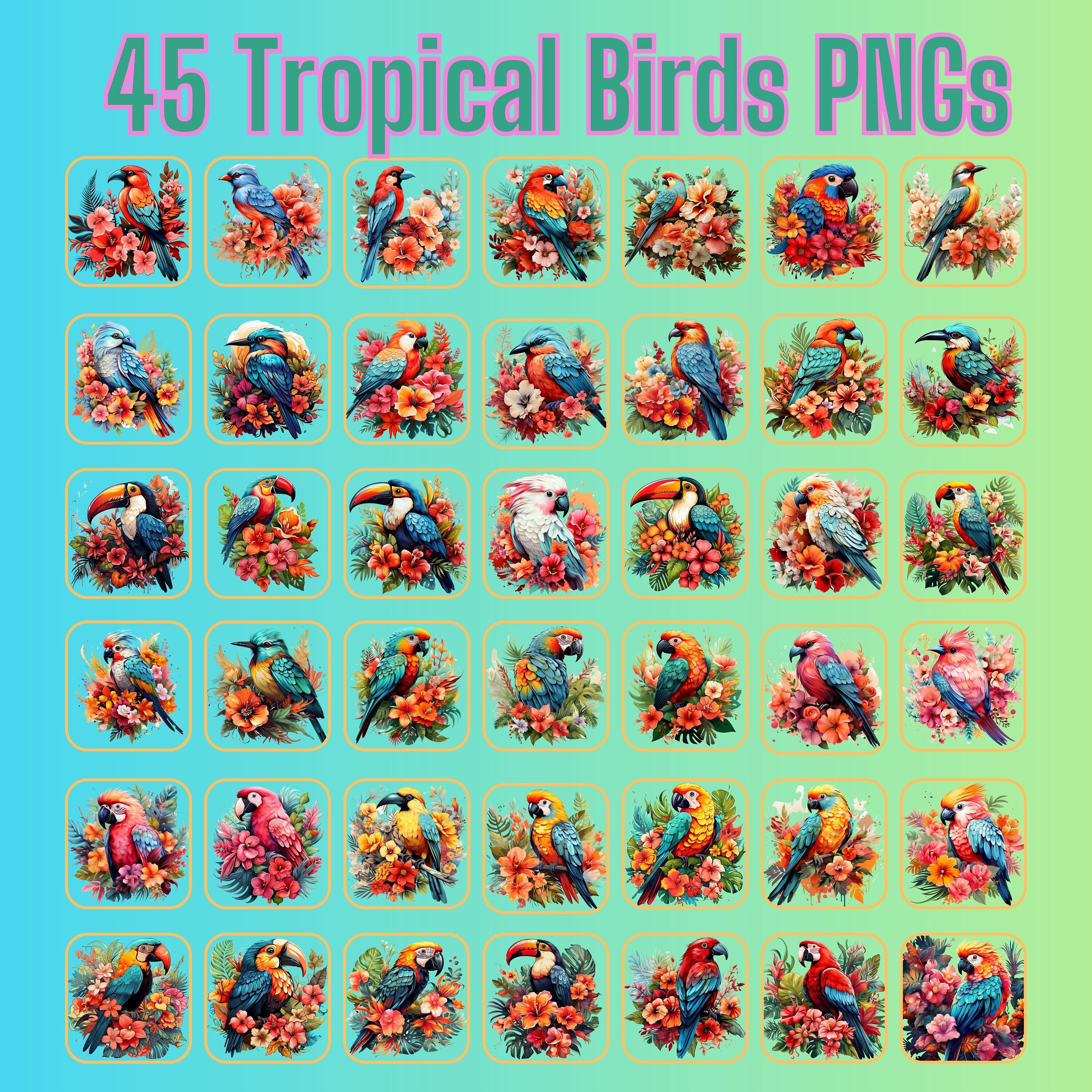 Tropical Birds Clipart PNG Bundle 45 Files Rainforest Birds - Etsy