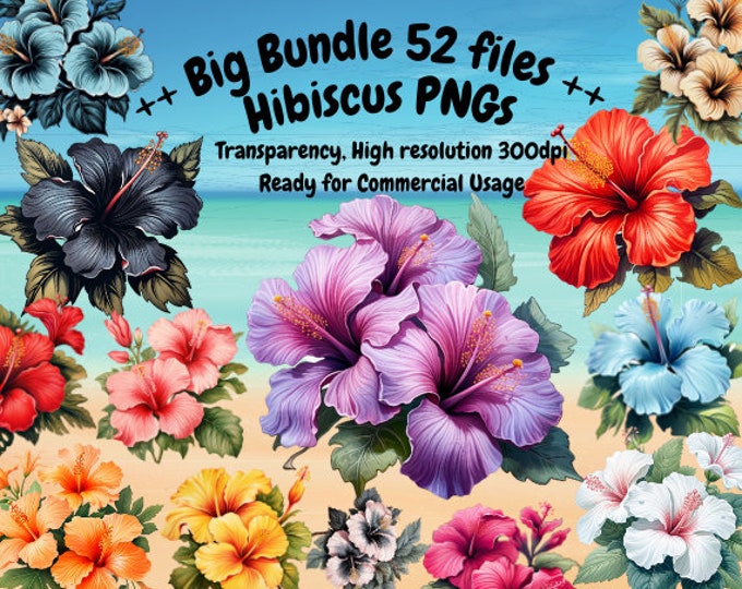 Hibiscus Clipart PNG Bundle 52 Files , Bouquet of Flowers PNG, Flower ...