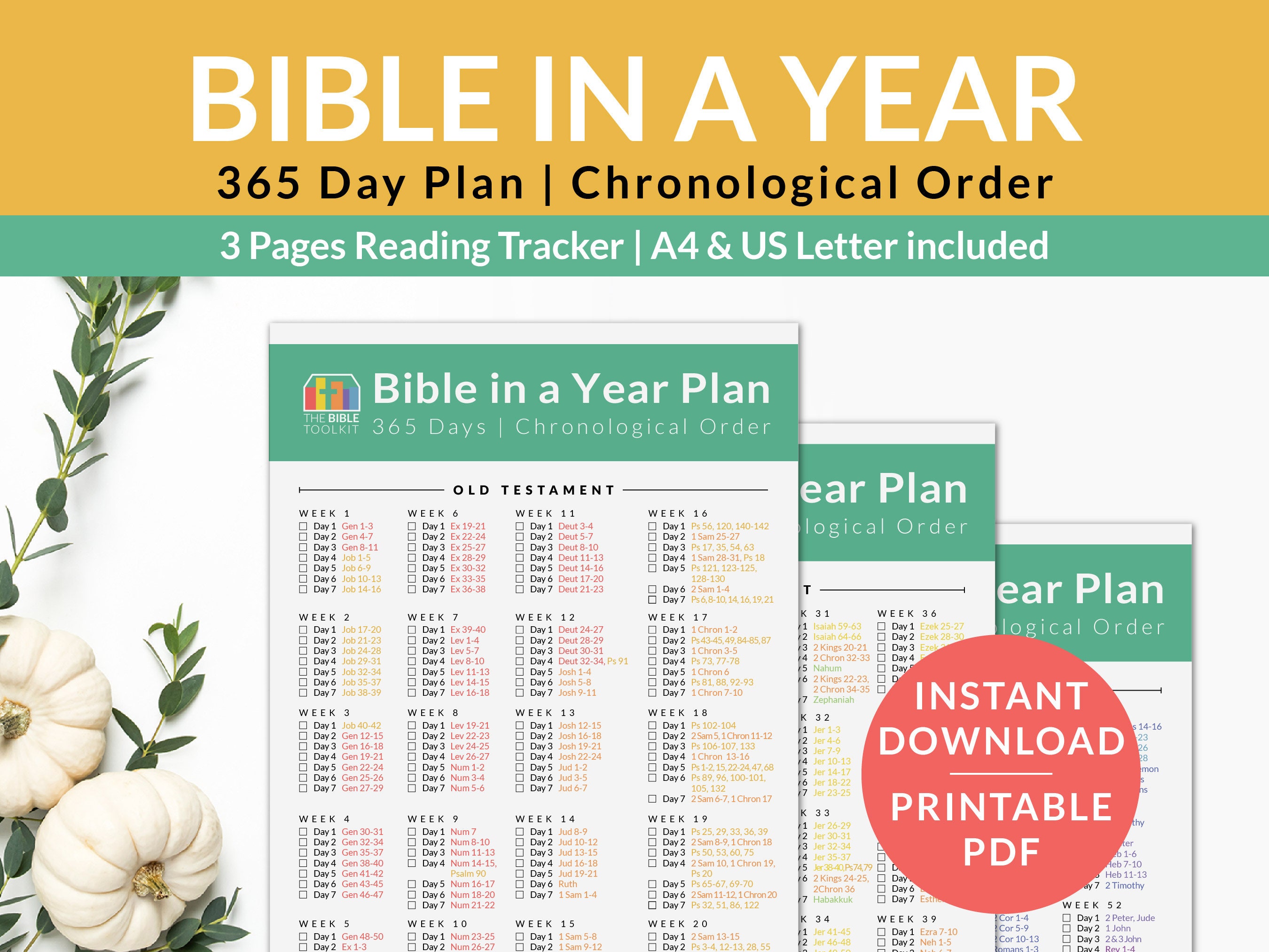 Chronological Bible in a Year Reading Plan Undated, Printable Scripture ...