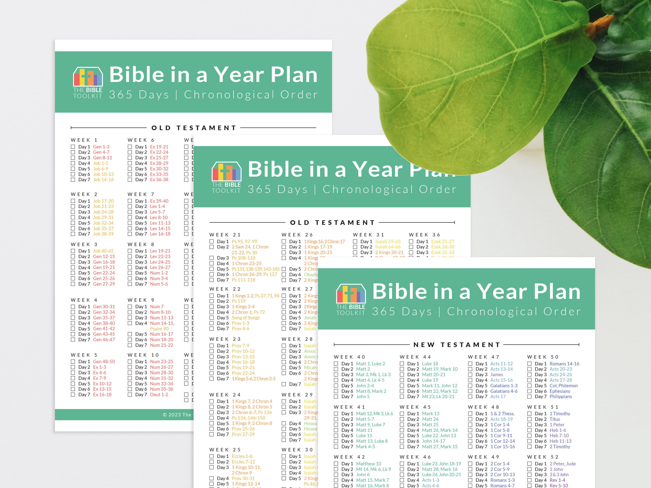 Chronological Bible in a Year Reading Plan Undated, Printable Scripture ...