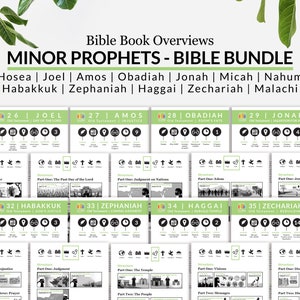 Minor Prophets Bible Books Summaries, Fun Christian Resources ...