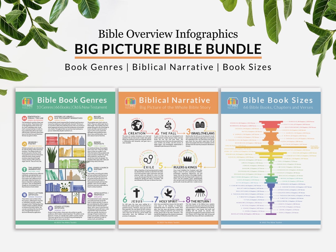 Printable Overview Bible Study Bundle, Biblical Genres Color Coded, Big ...