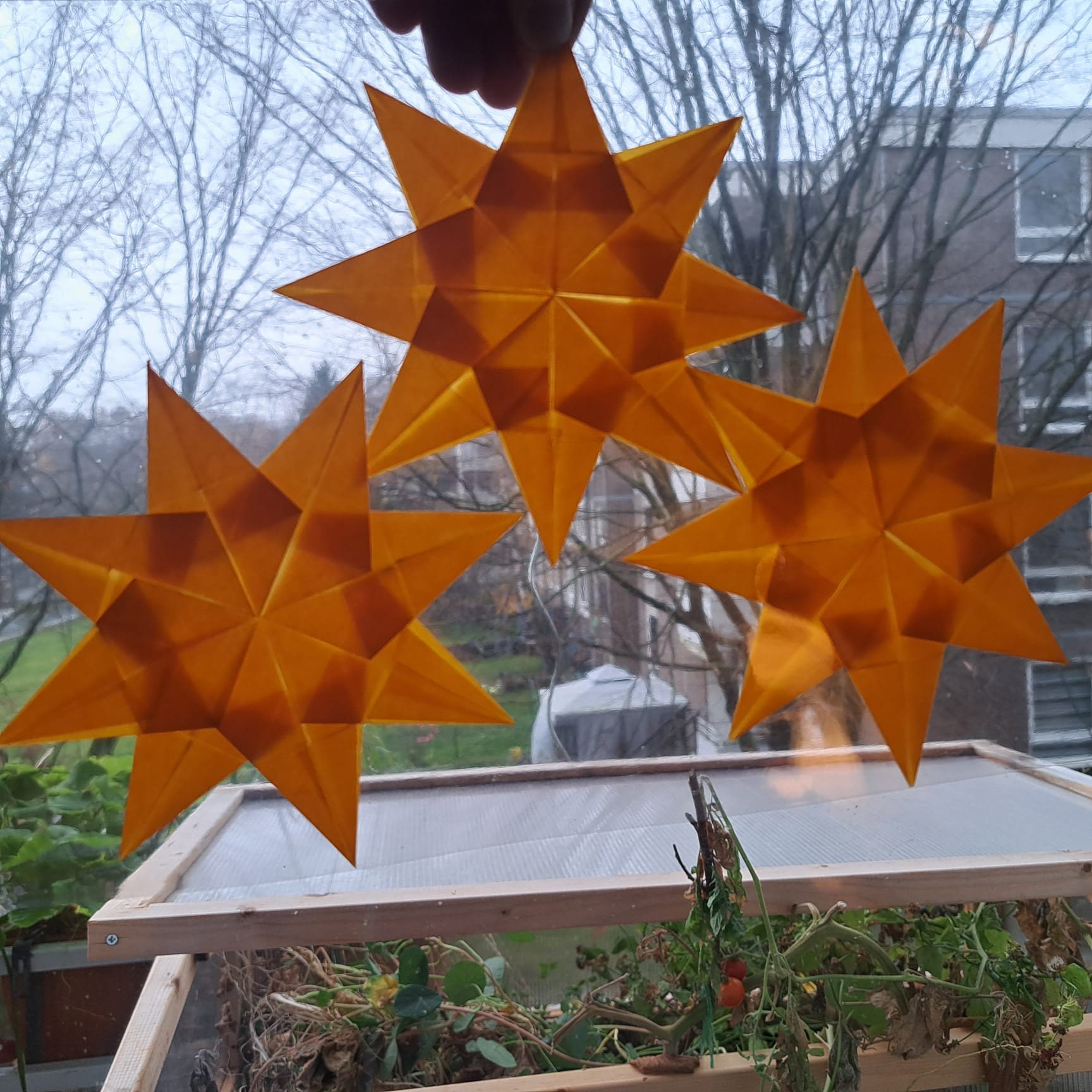 Transparent Star, Window Decoration - Etsy