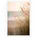 Beach Grass Photo Print - Coastal Wall Art Photograph - Sea Inspired ...
