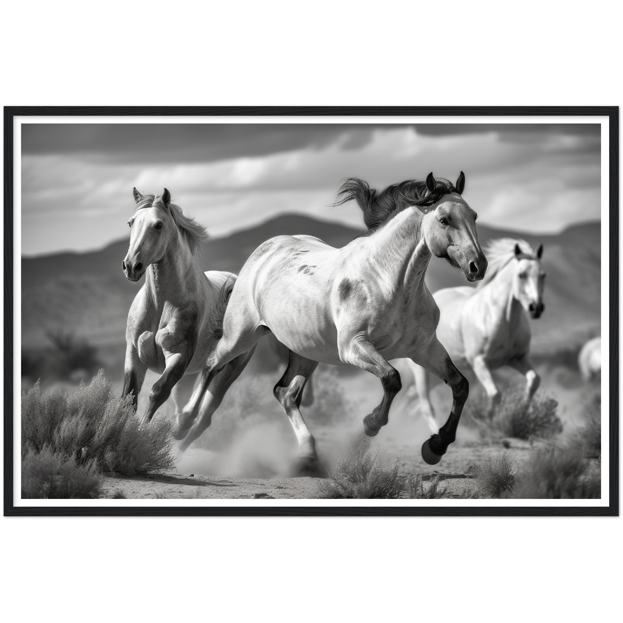 Black And White Photography Horses Running