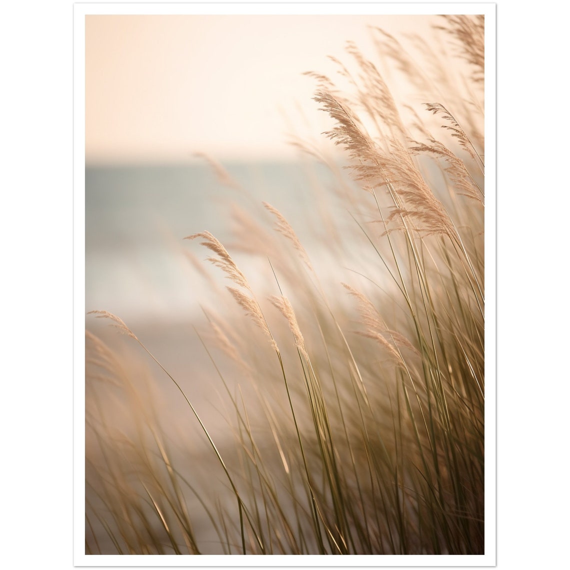Beach Grass Photo Print - Coastal Wall Art Photograph - Sea Inspired ...