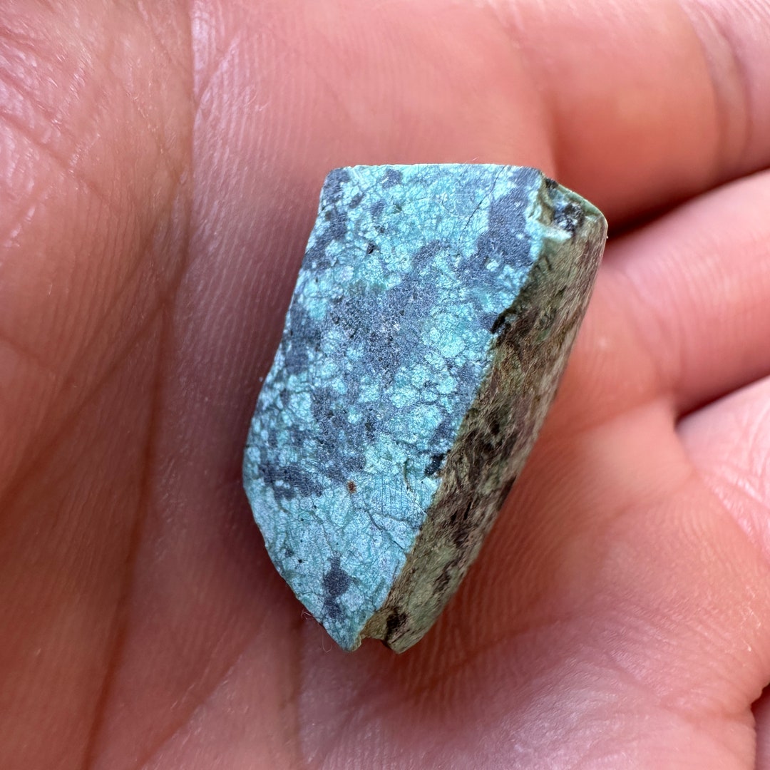 28.55CT Rare King Solomon Stone Collection Authentic Rough Eilat Stone ...