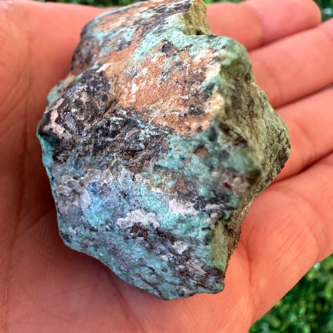 264.8CT Rare King Solomon Stone Collection Authentic Rough Eilat Stone ...