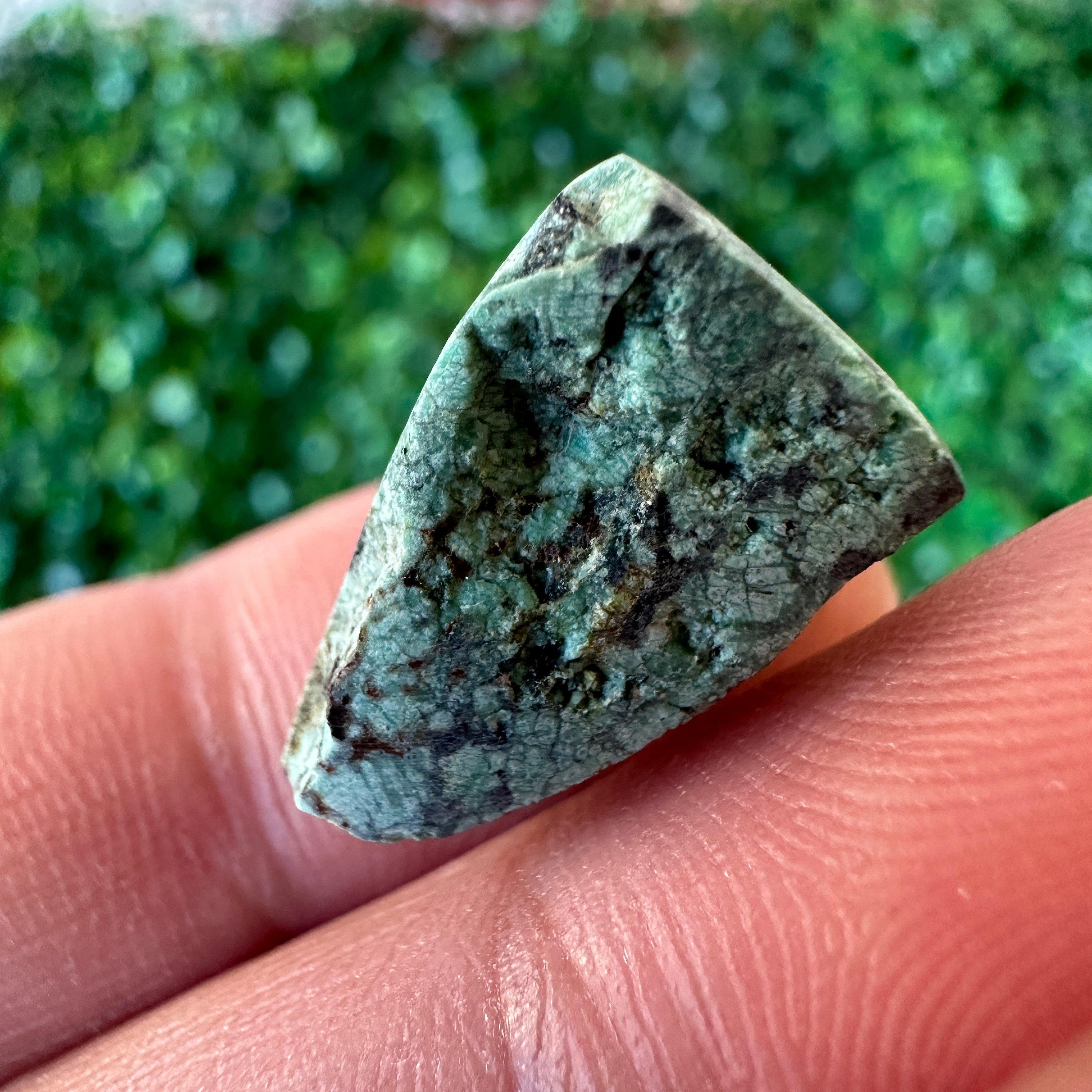 28.55CT Rare King Solomon Stone Collection Authentic Rough Eilat Stone ...