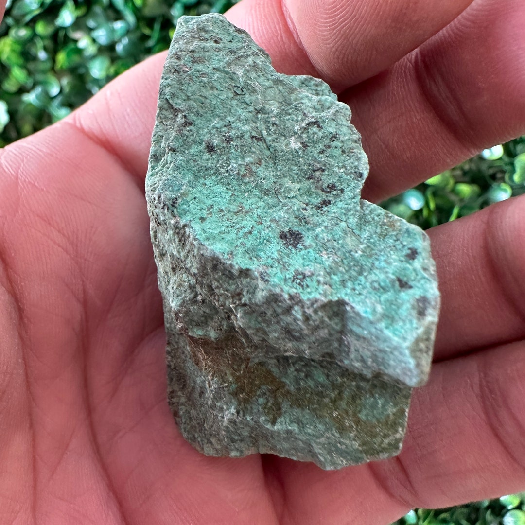 317.5CT Rare King Solomon Stone Collection Authentic Rough Eilat Stone ...