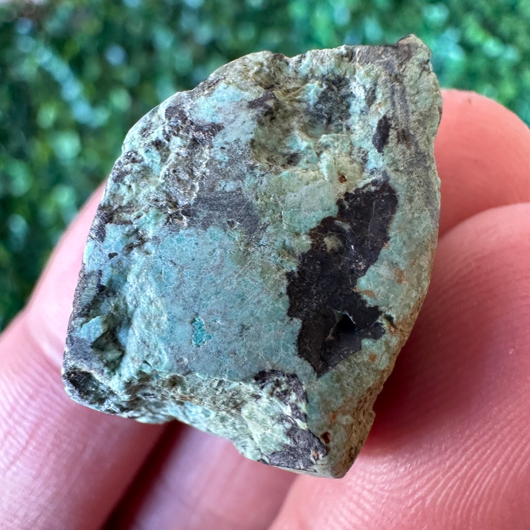 56.9CT Rare King Solomon Stone Collection Authentic Rough Eilat Stone ...