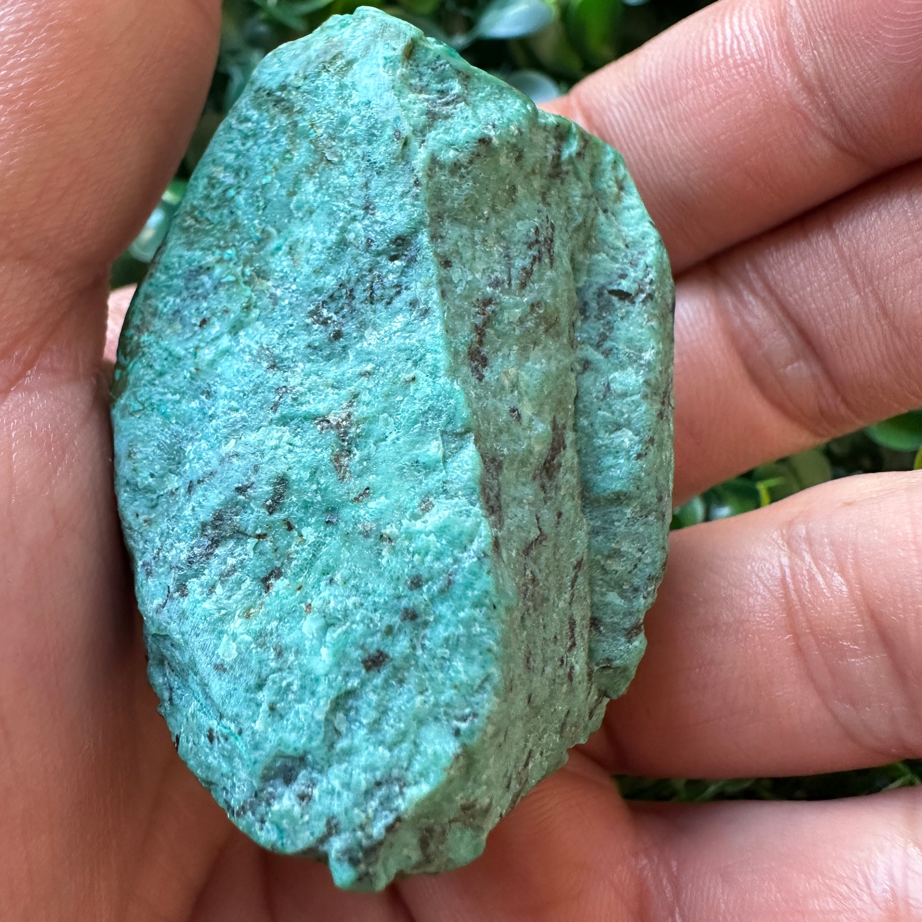 387.6CT Rare King Solomon Stone Collection Authentic Rough Eilat Stone ...