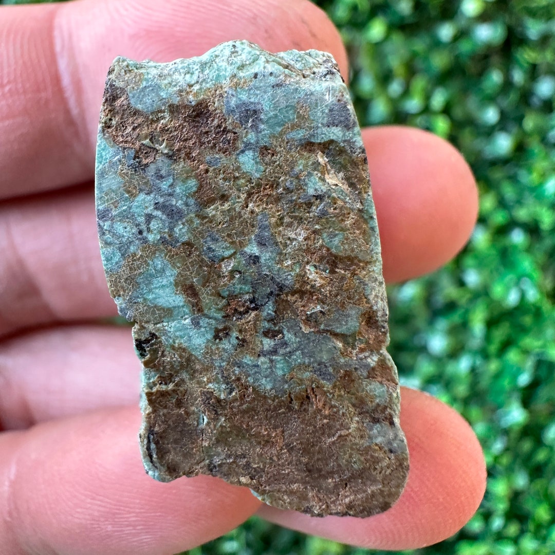 113.5CT Rare King Solomon Stone Collection Authentic Rough Eilat Stone ...