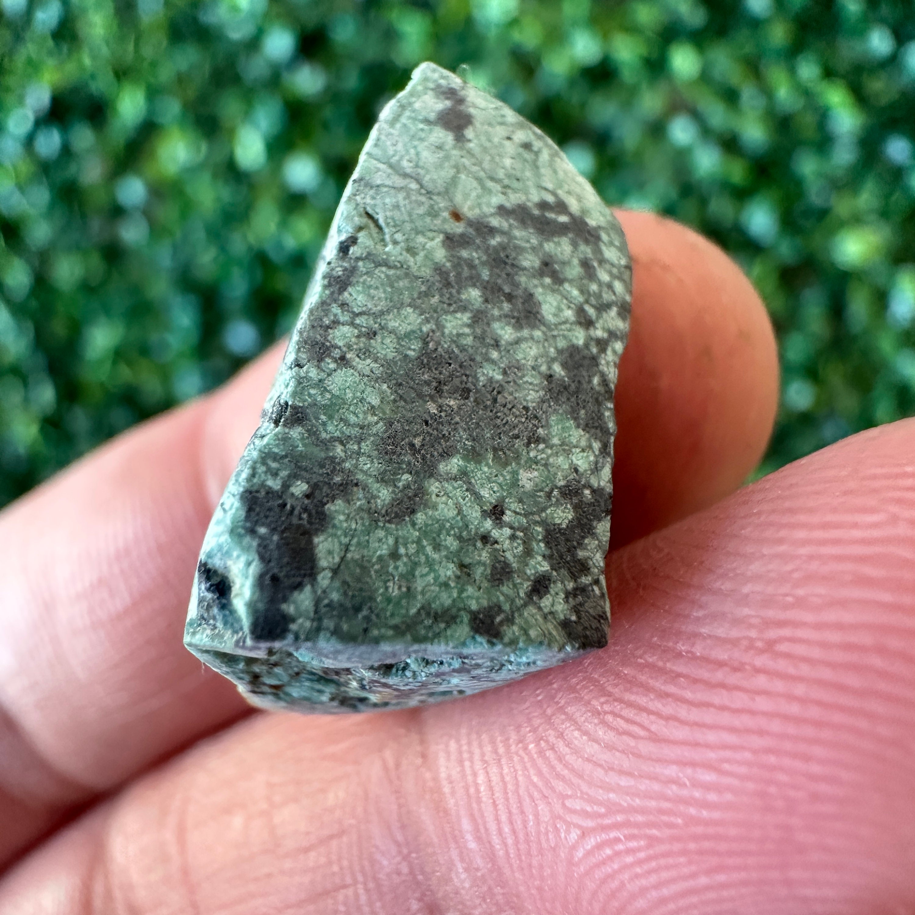 28.55CT Rare King Solomon Stone Collection Authentic Rough Eilat Stone ...