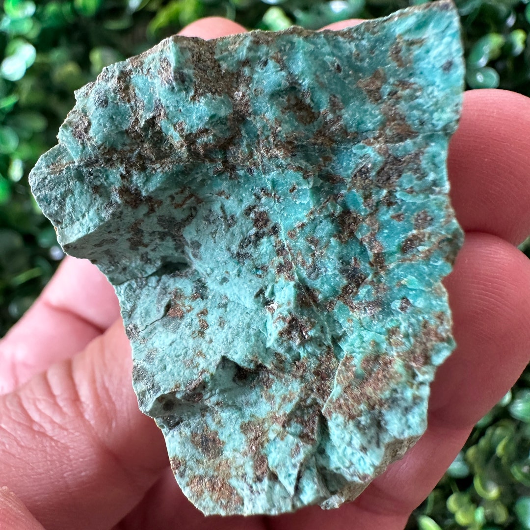 350.5CT Rare King Solomon Stone Collection Authentic Rough Eilat Stone ...