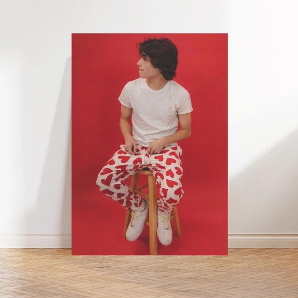 Sturniolo Triplets Flag - Etsy UK