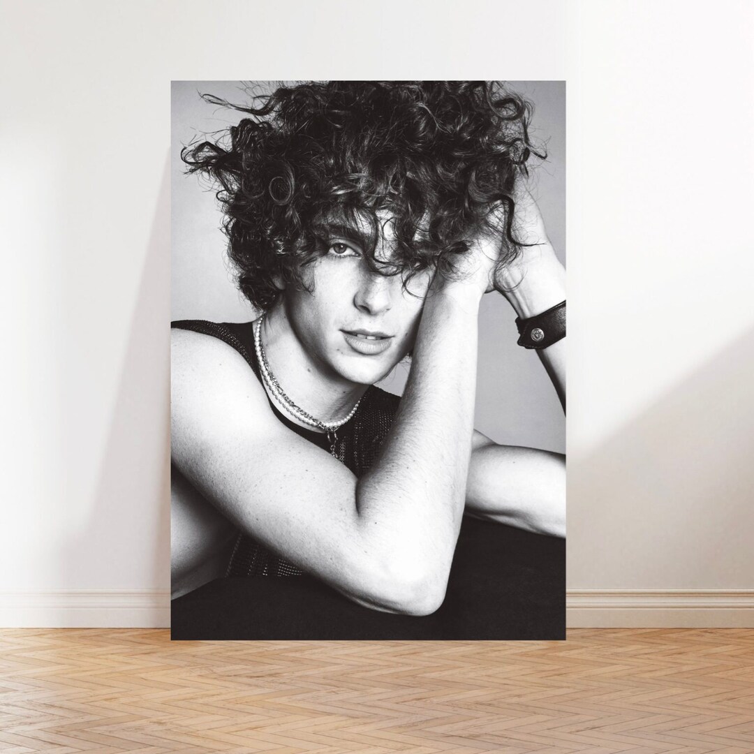 Timothee Chalamet Poster A4 - Etsy