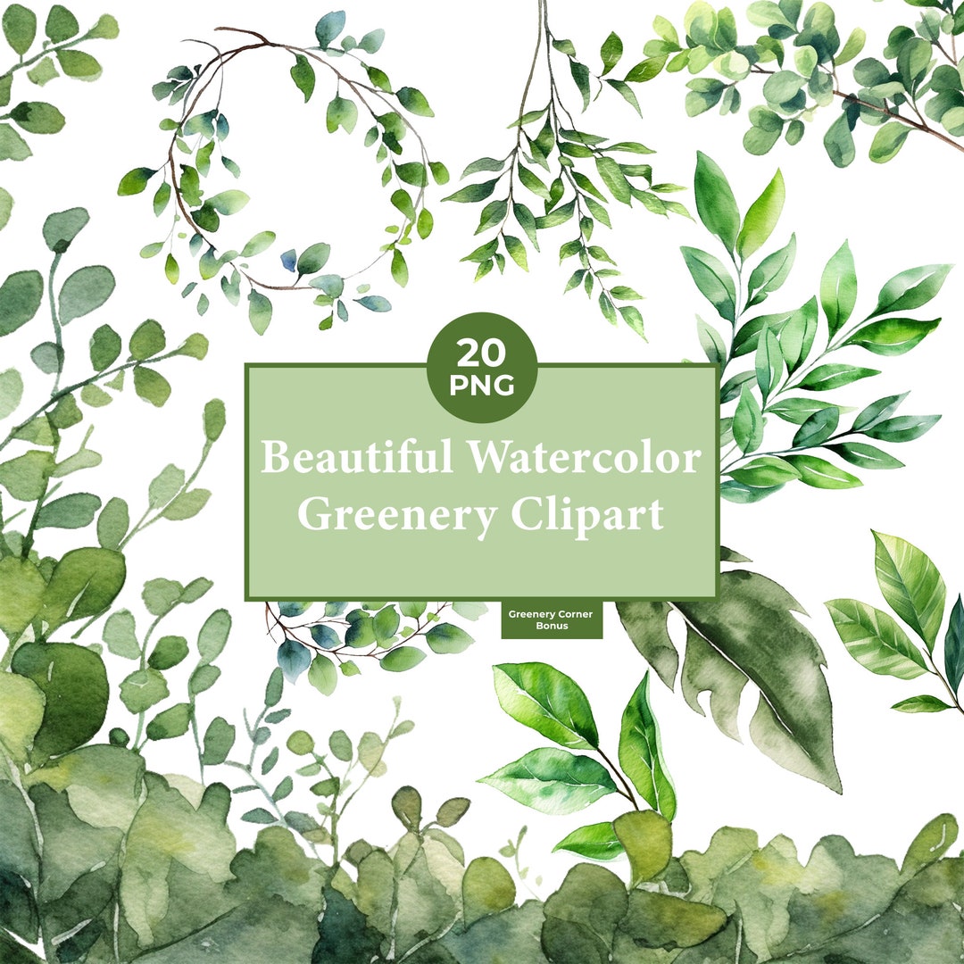 Greenery Watercolor Clipart - Greenery Clipart - Individual Elements ...