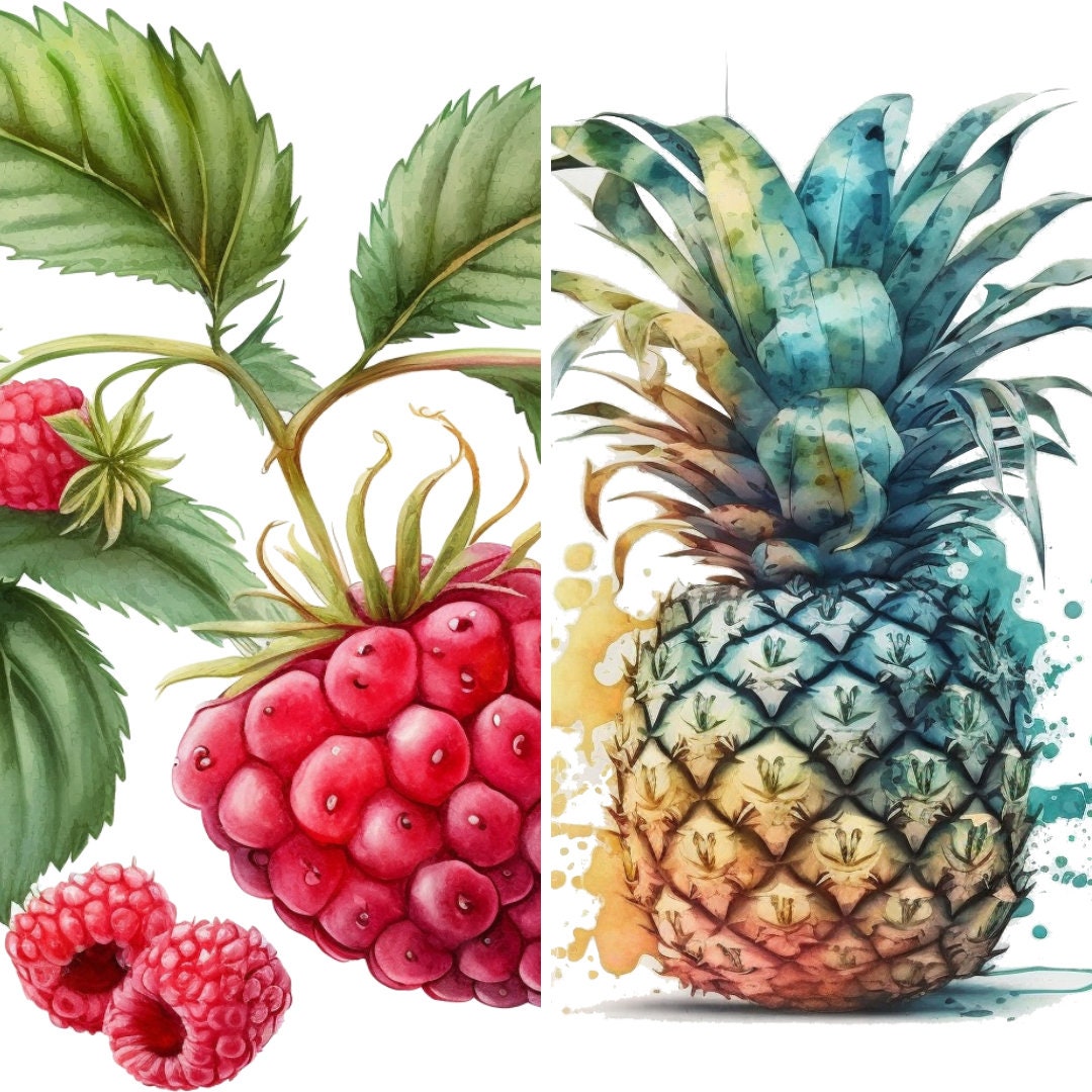 Summer Fruit Clipart Images PNG Transparent Background, Digital ...