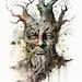 EPIC FANTASY Tree Faces Clipart Set- Nature - Watercolors- Forest ...