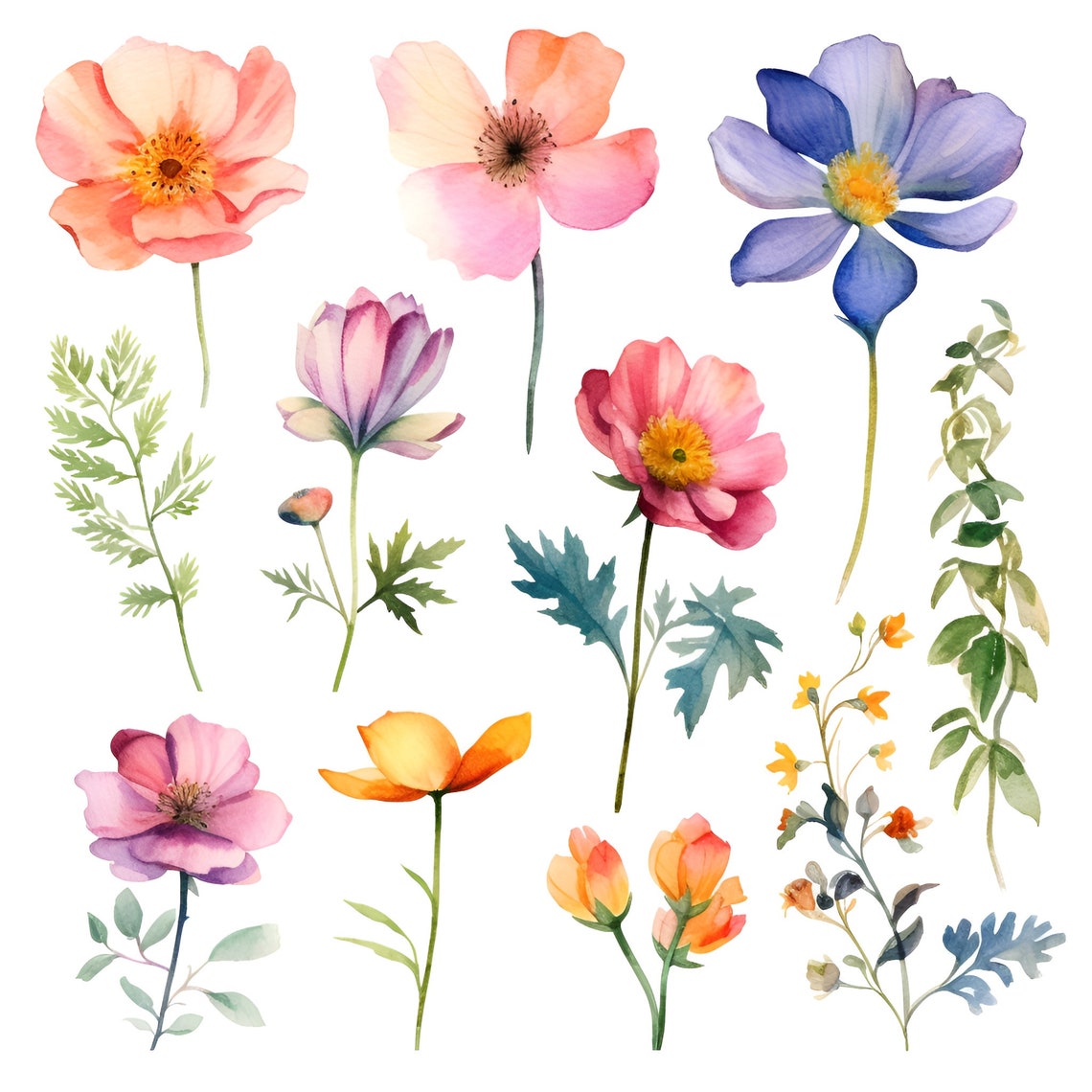 Watercolor Floral Clipart Collection - Summer Flowers Clipart ...