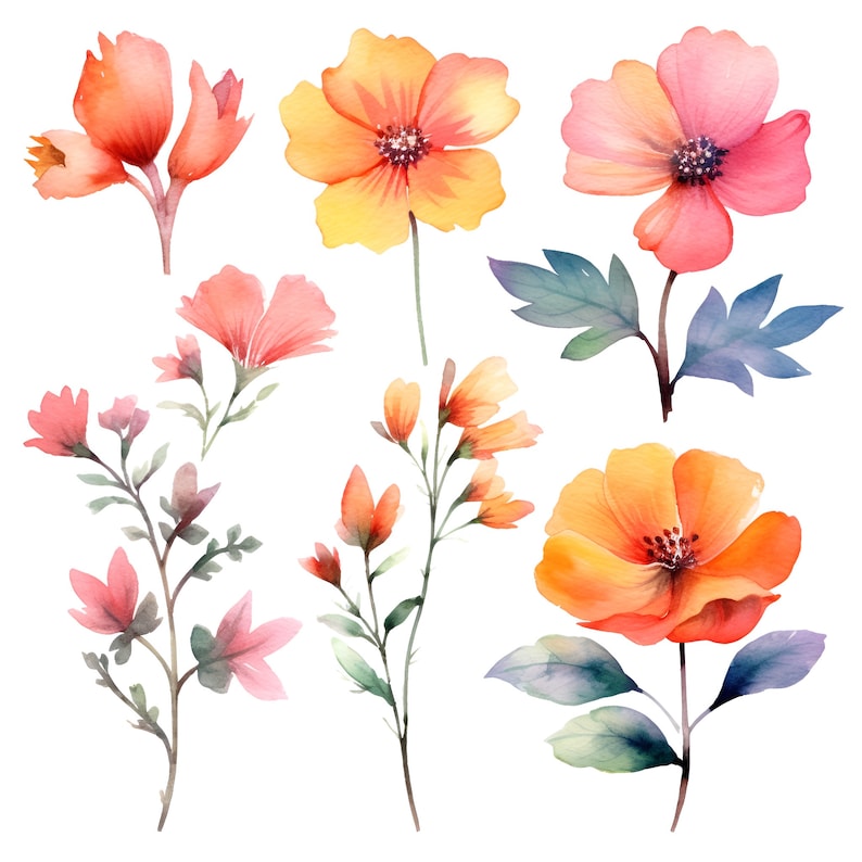 Watercolor Floral Clipart Collection - Summer Flowers Clipart ...