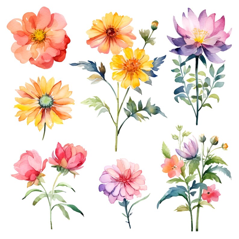 Watercolor Floral Clipart Collection - Summer Flowers Clipart ...