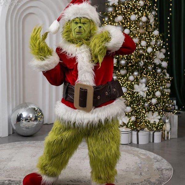 The Grinch Realistic Costume - Etsy