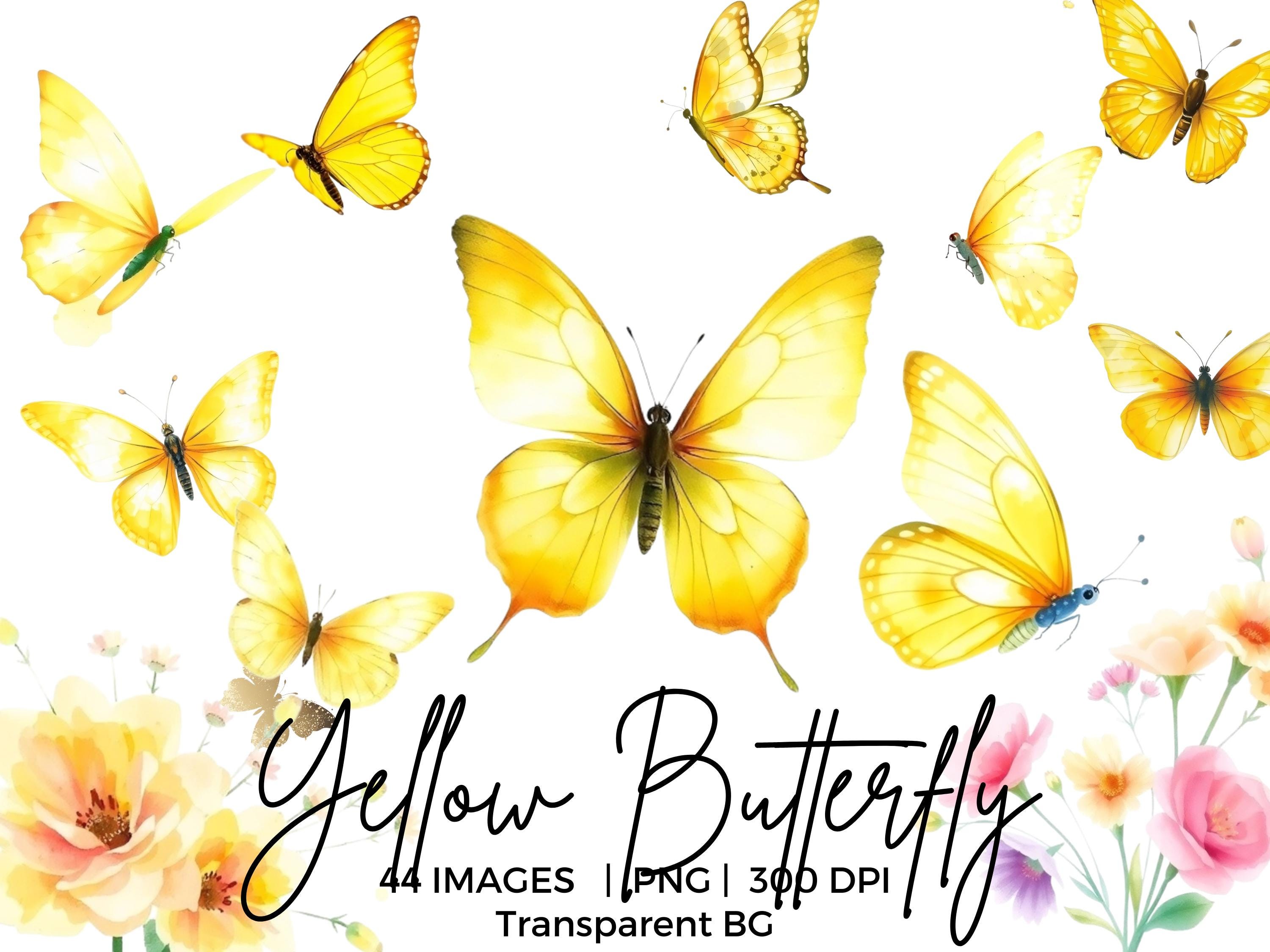 Butterfly PNG Yellow Butterflies Clipart Watercolor Spring Butterfly ...