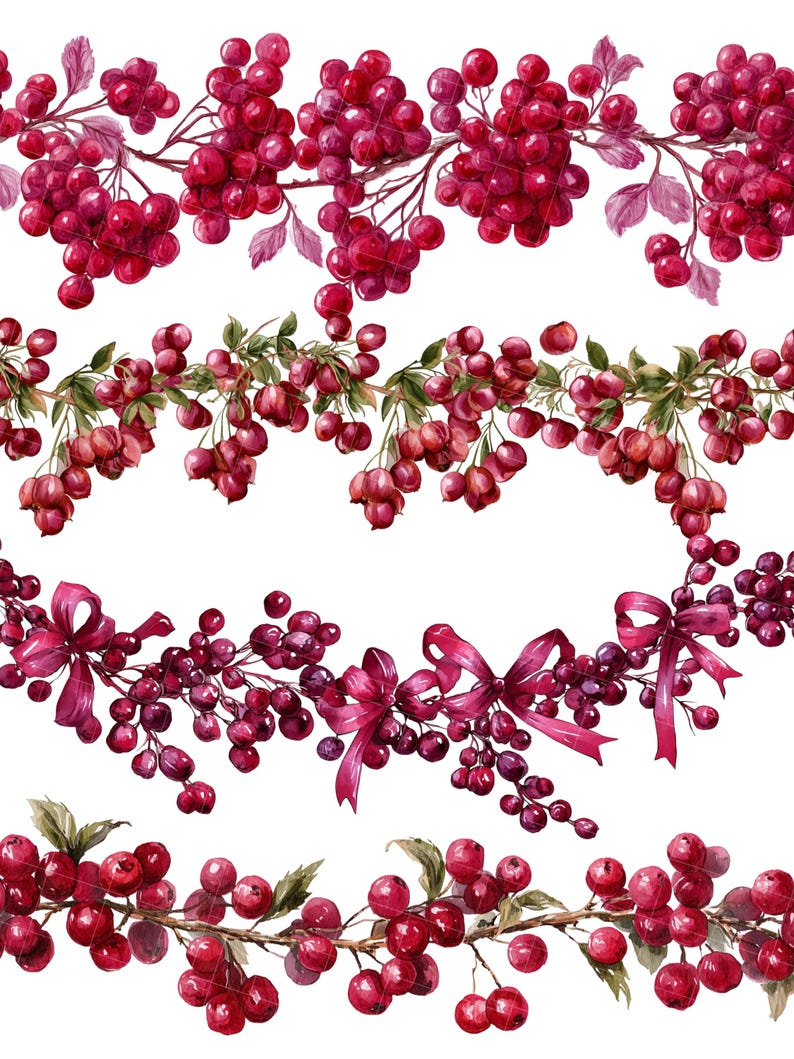 34 Christmas Red Berries Border & Garland PNG Clipart Bundle ...