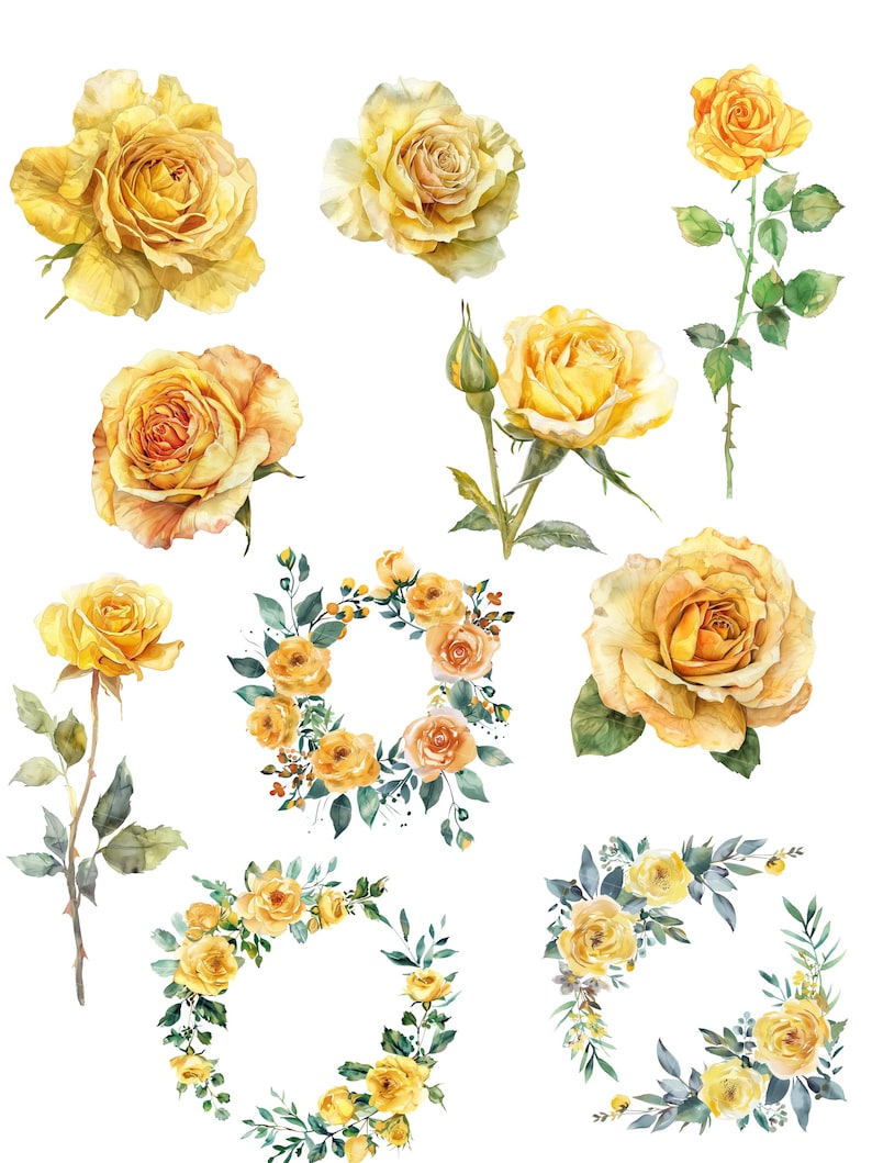 Yellow Roses PNG Clipart Bundle, Watercolor Yellow Roses Flower Bouquet ...