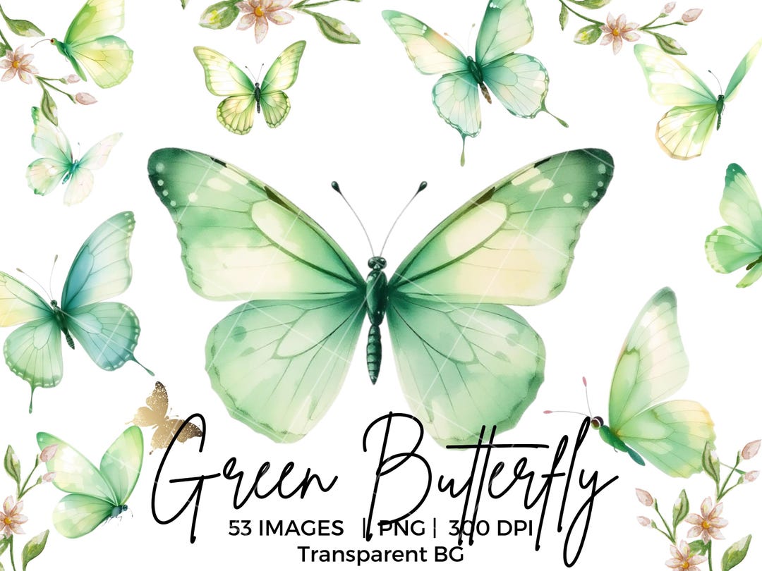 Butterfly PNG Green Butterflies Clipart Watercolor Spring Butterfly ...