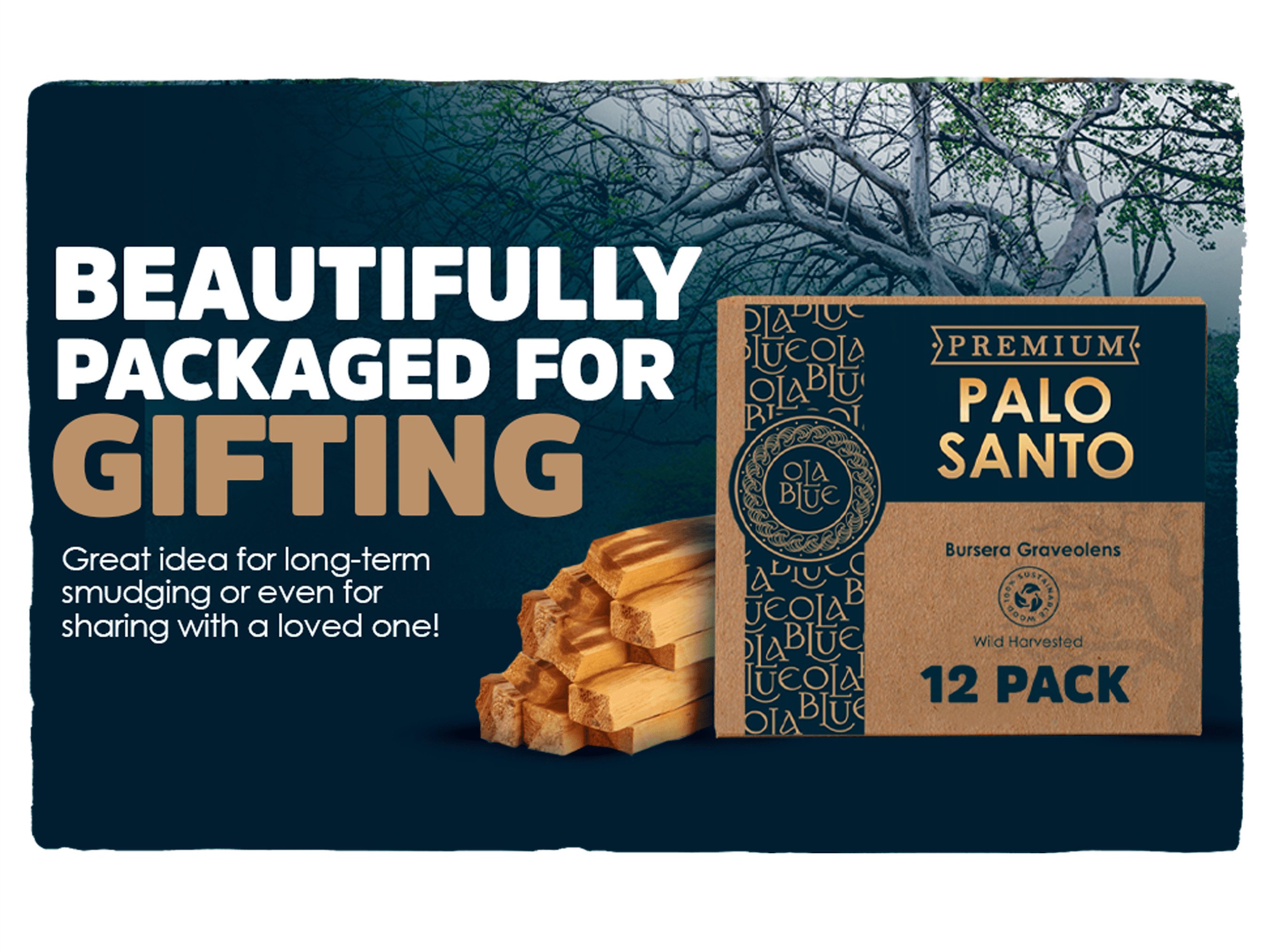 Ola Blue Palo Santo Sticks Premium Resin 12-pack Peruvian Authentic ...